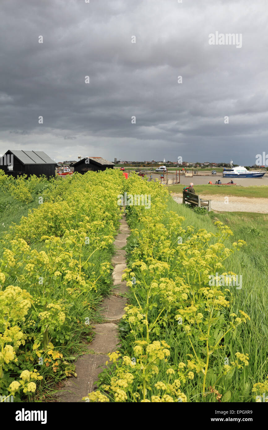Suffolk coastal hi-res stock photography and images - Alamy