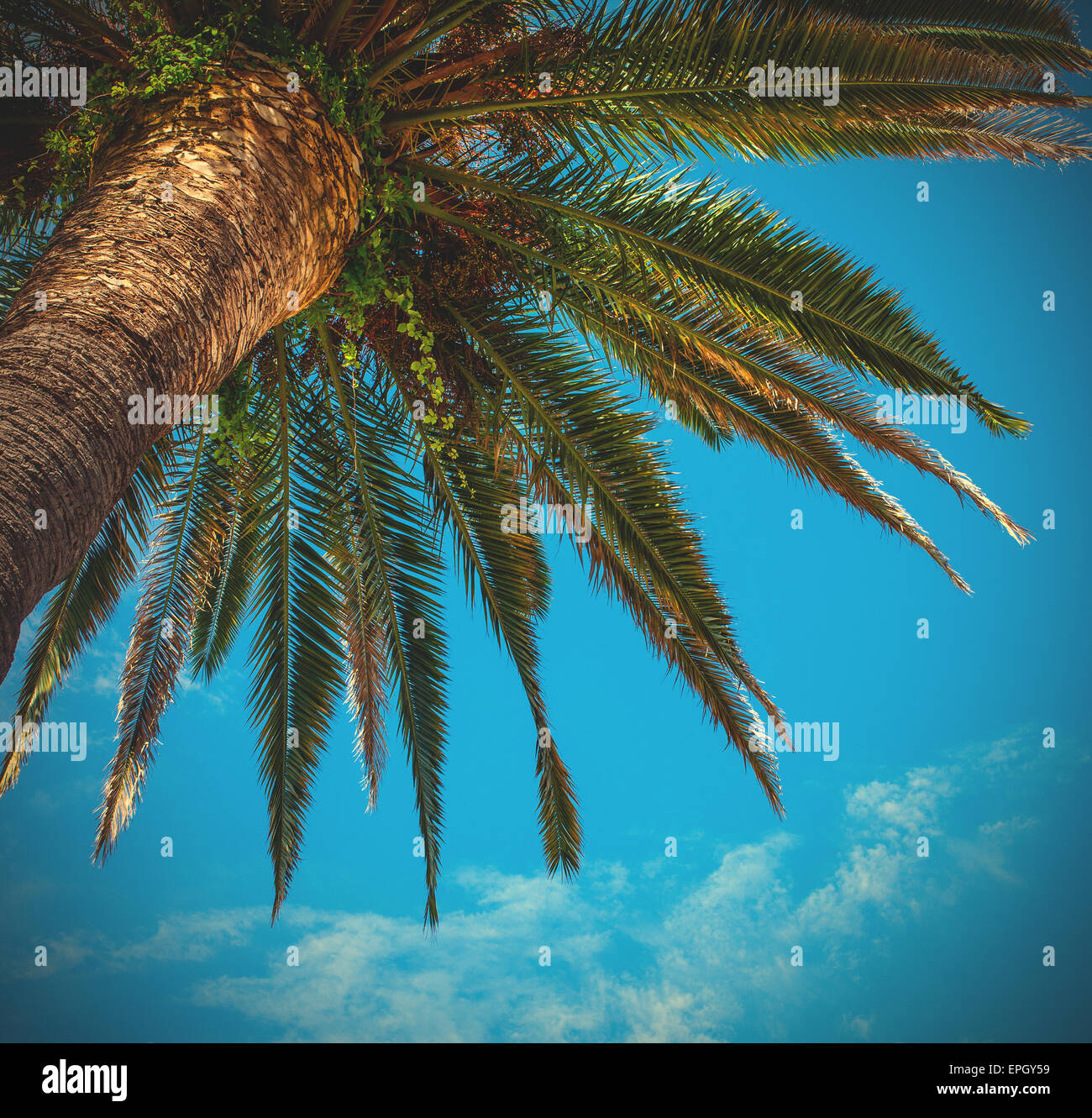 Kroon hi-res stock photography and images - Alamy