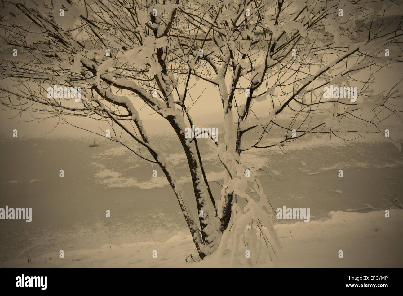 on the frozen riverside Stock Photo - Alamy