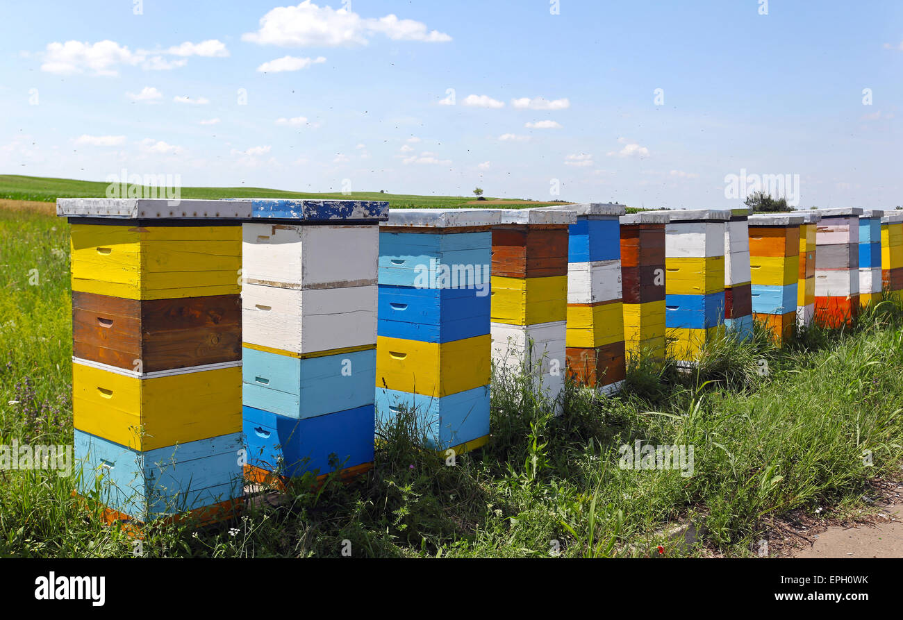 Painted beehives hi-res stock photography and images - Alamy