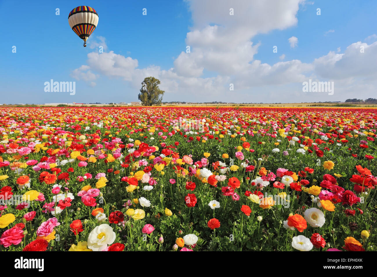 Spring in Israel Stock Photo - Alamy
