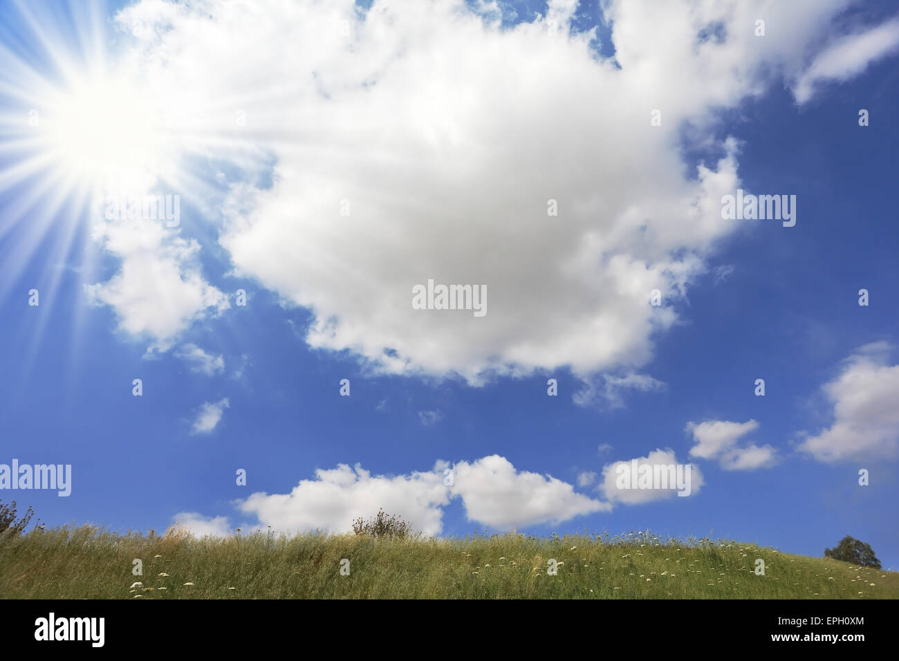 The bright hot sun and light clouds Stock Photo - Alamy