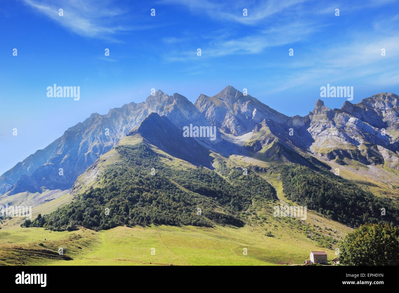 Alpine meadows hi-res stock photography and images - Alamy