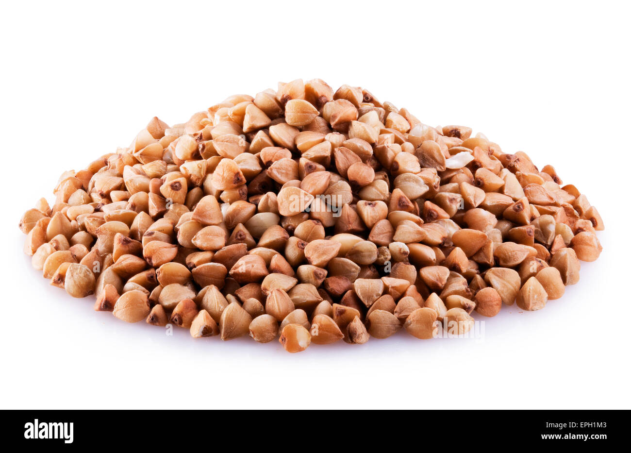 Corn germination Cut Out Stock Images & Pictures - Alamy