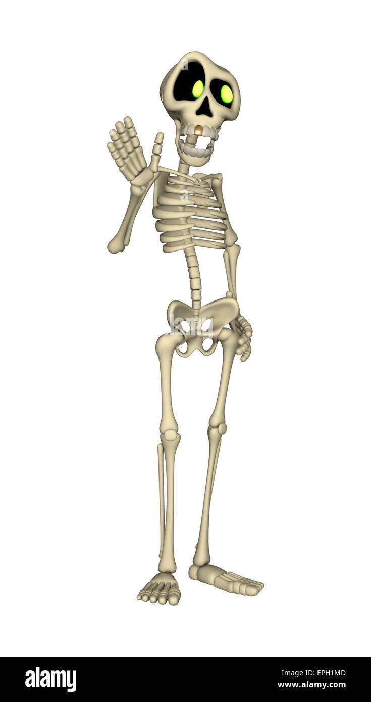3D digital render of a cartoon human skeleton isolated on white ...