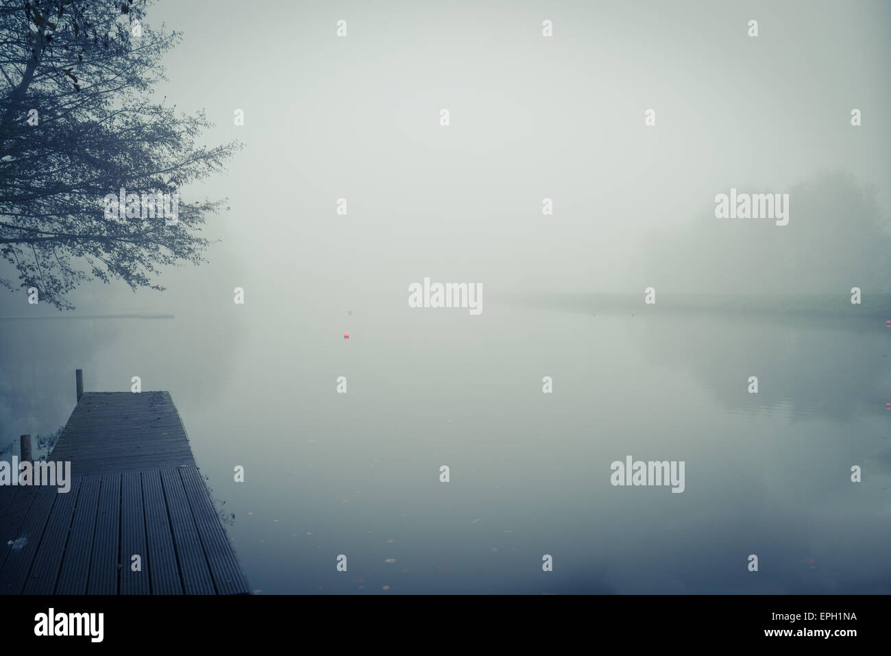 fog at the river Stock Photo - Alamy