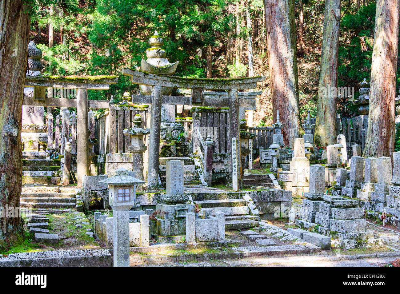 Stone torii gates hi-res stock photography and images - Alamy