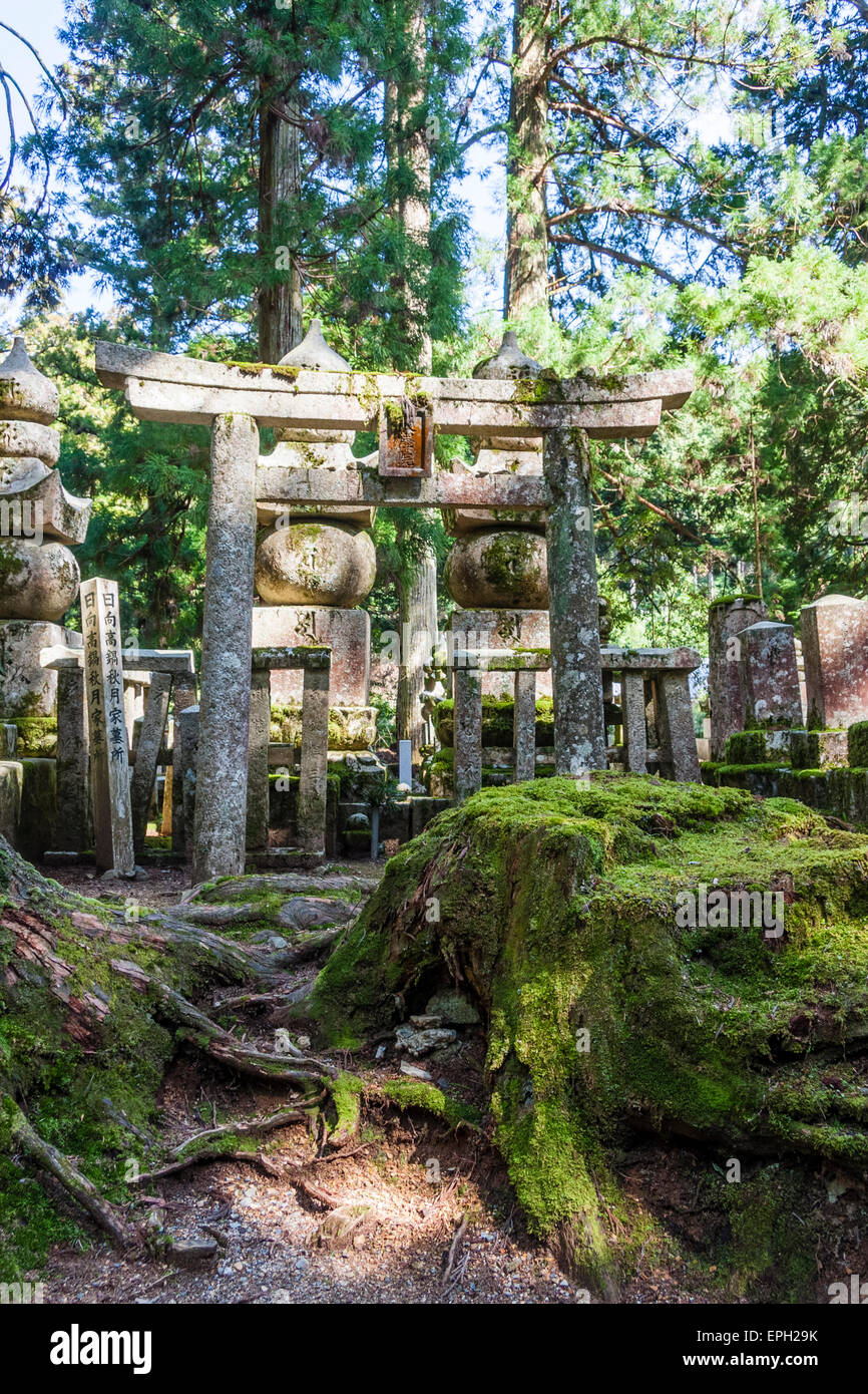 Okunoin cemetery, Koyasan. Tall cedars with stone torii gate and two ...