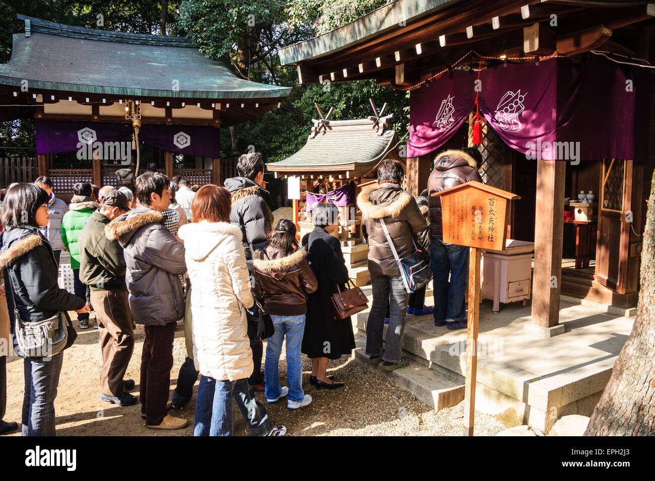 Oshogatsu High Resolution Stock Photography and Images - Alamy