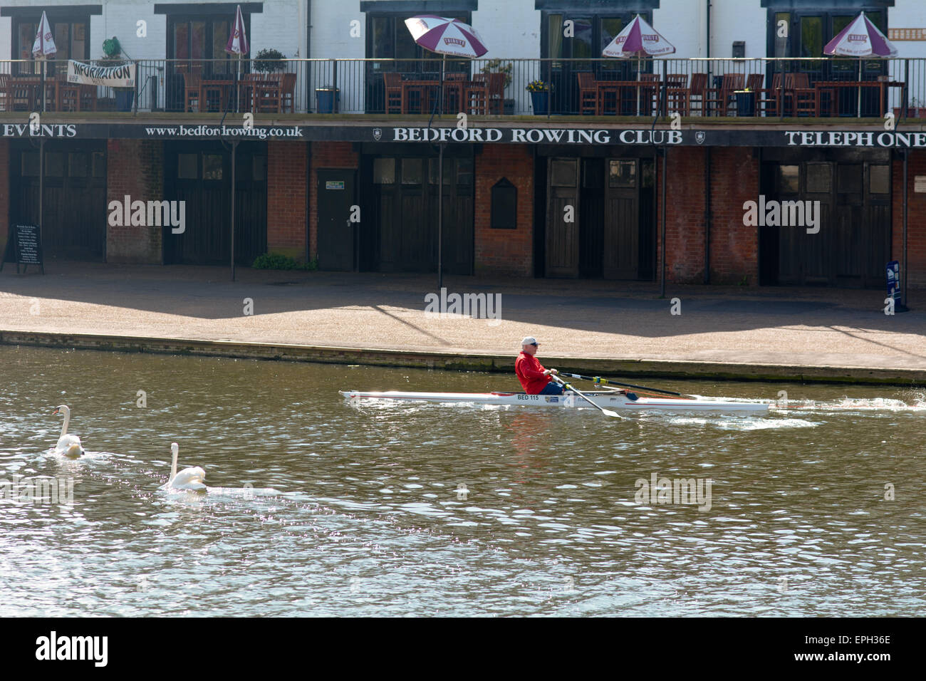 Man learning how to scull in River Ouse outside Bedford Rowing Club in ...