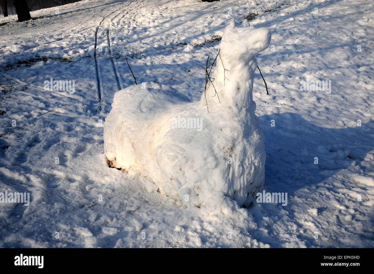 Snowman the horse hi-res stock photography and images - Alamy