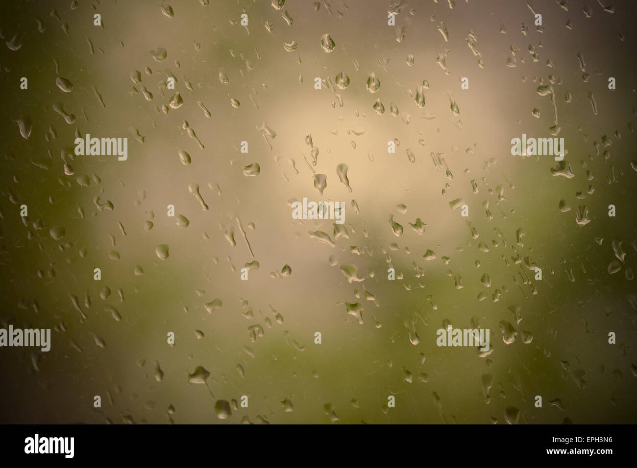 Rain condensation drop hi-res stock photography and images - Alamy