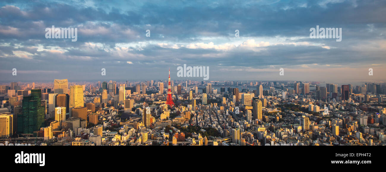 Tokyo aerial panoramic view Stock Photo - Alamy