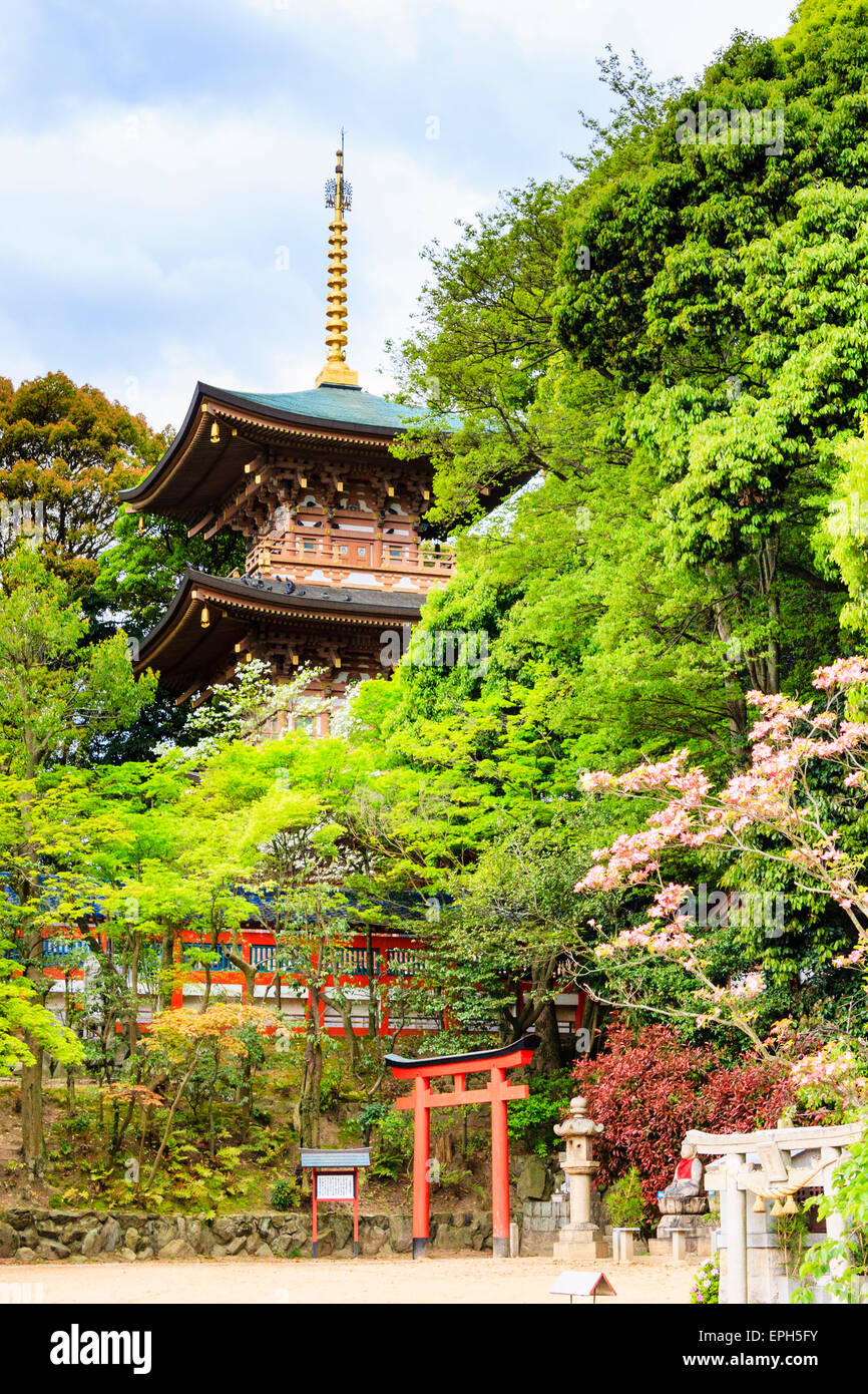The vermilion pagoda, half hidden by trees, with torii gate in front ...
