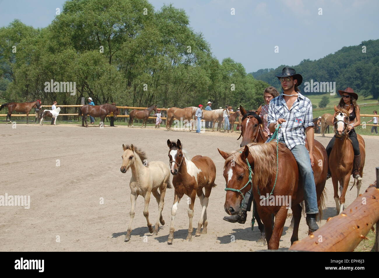 Western horse show hi-res stock photography and images - Alamy