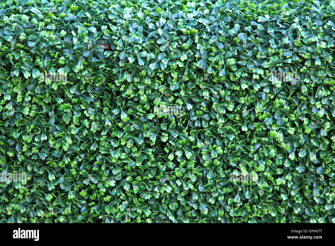 Plastic hedge hi-res stock photography and images - Alamy