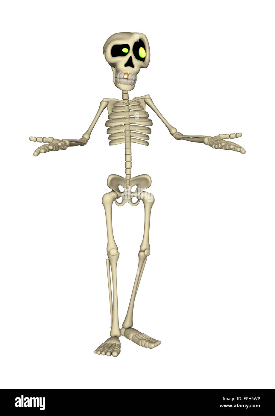 3D digital render of a cartoon human skeleton isolated on white ...