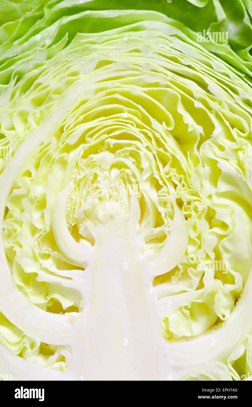 close up of sliced cabbage head Stock Photo - Alamy