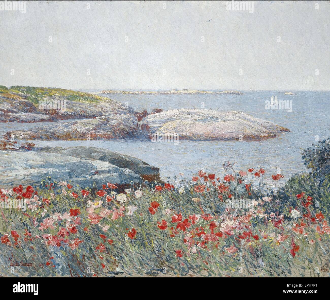 Childe Hassam Poppies, Isles of Shoals Stock Photo - Alamy