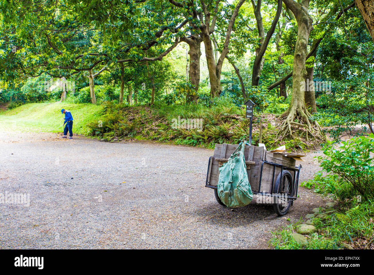 Asian man gardening hi-res stock photography and images - Alamy