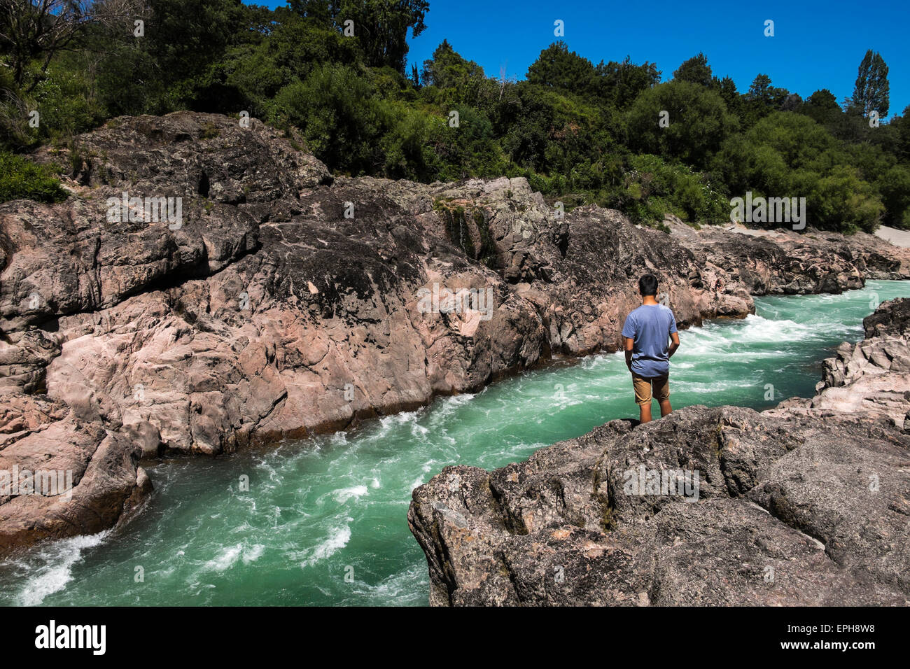 View into the Buller river at Akiri falls, Murchison, New Zealand Stock ...