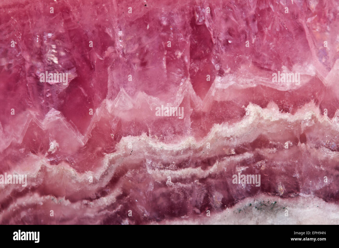 Rhodochrosite MNCO3. Pink manganese carbonate mineral. Macro. Beautiful ...