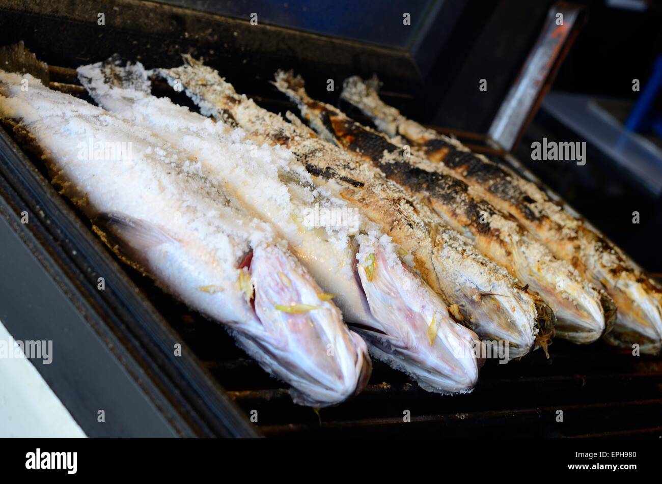 Lates calcarifer hi-res stock photography and images - Alamy