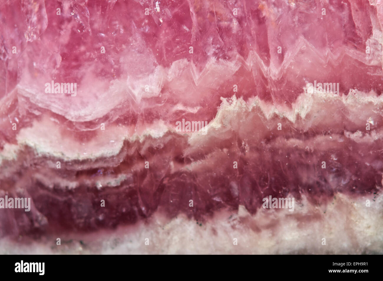 Rhodochrosite MNCO3. Pink manganese carbonate mineral. Macro. Beautiful ...