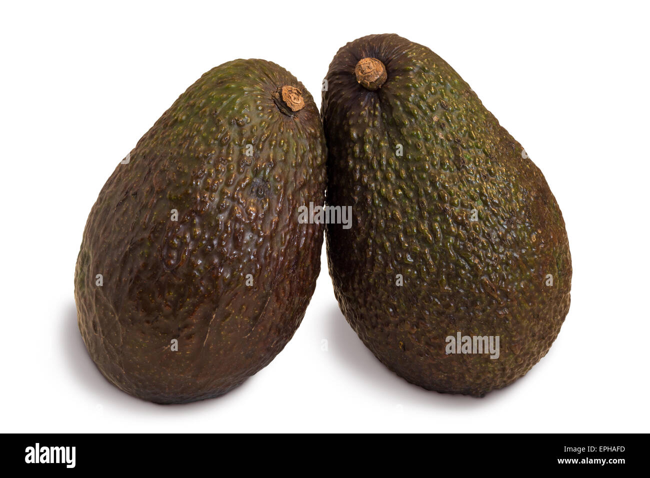 Close-up of two whole Hass avocados (or alligator pear) with shadow ...