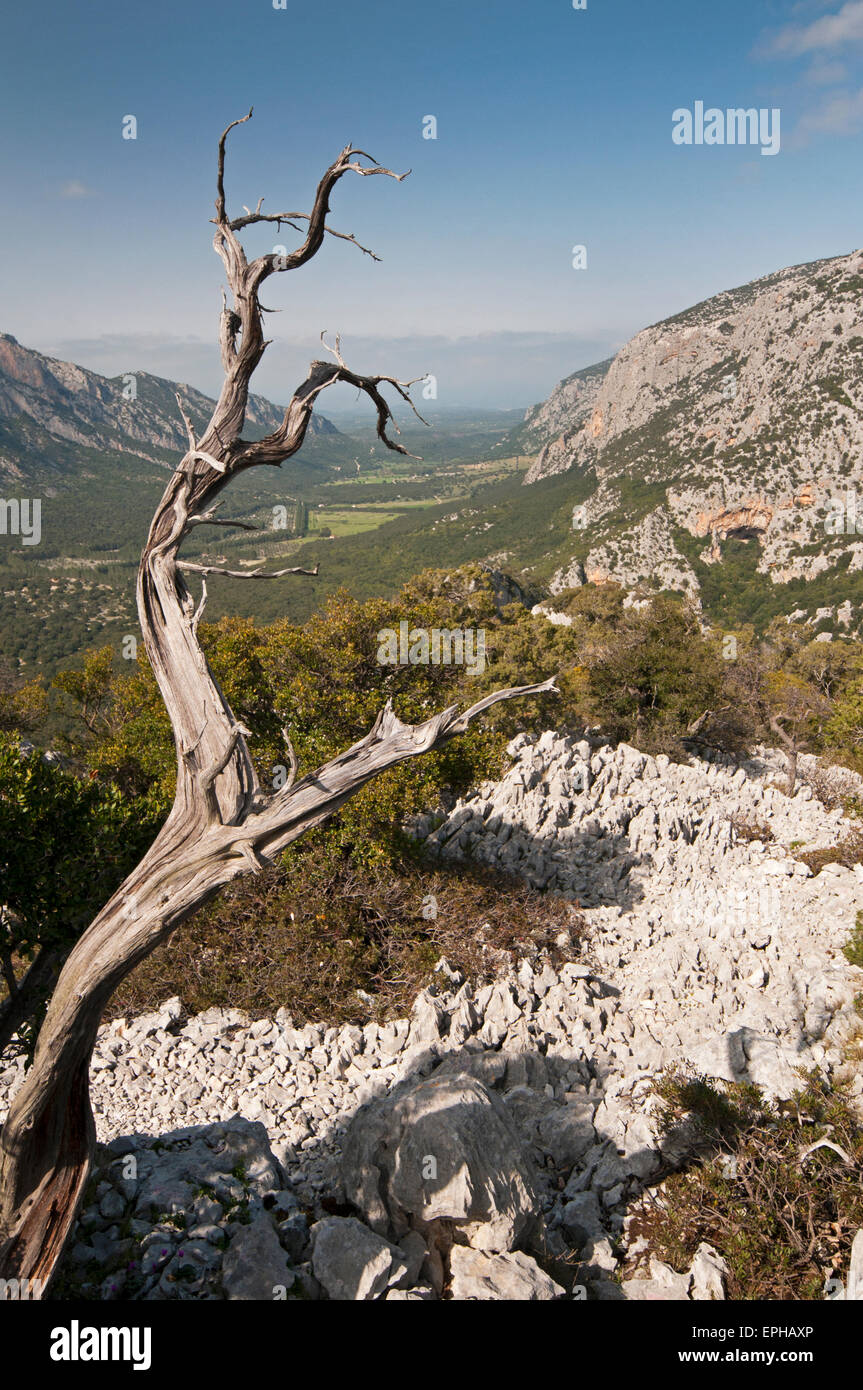 Dorgali, Sardinia, Italy, 4/2015. Landscape and view of the wild ...