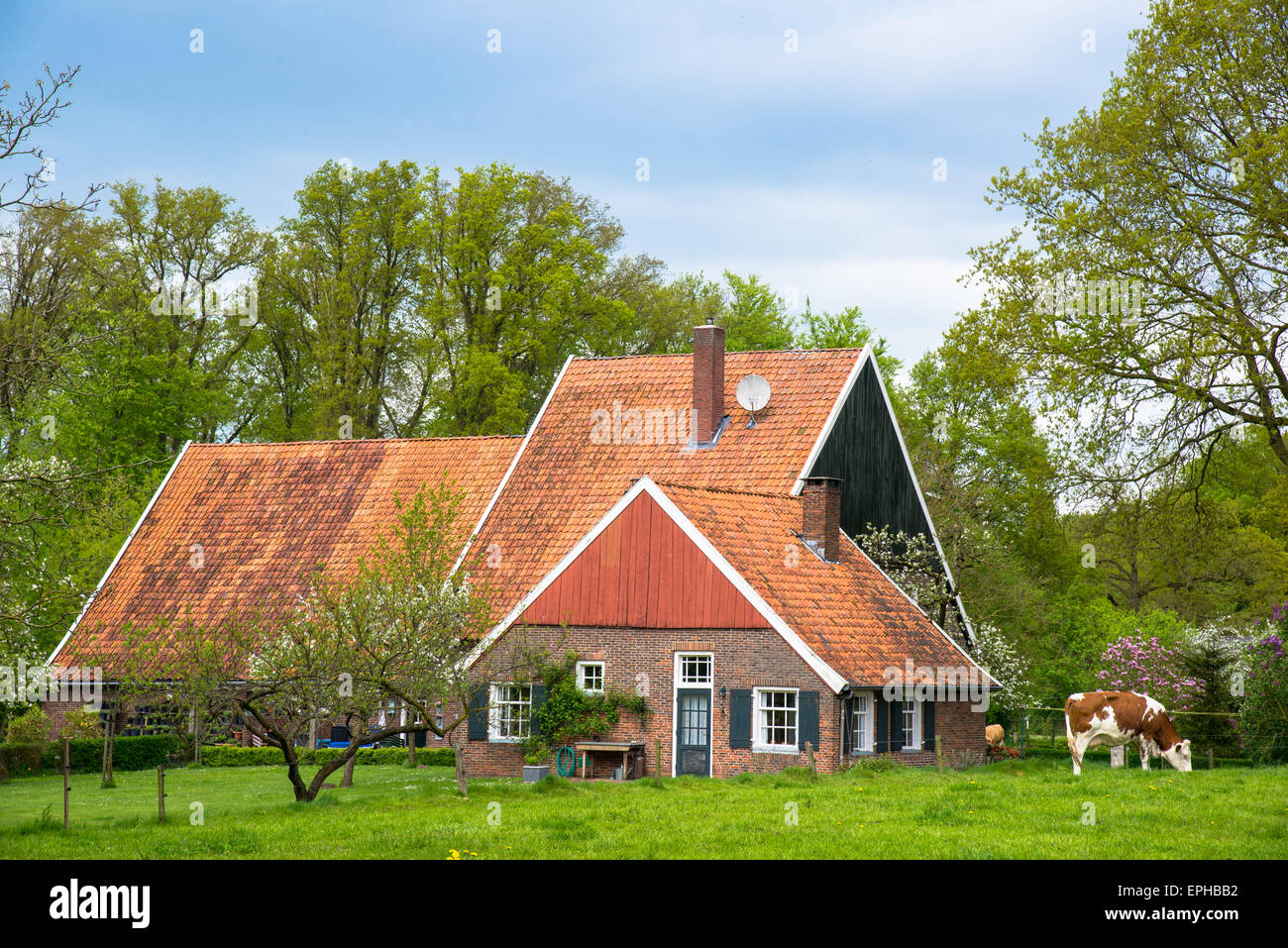 traditional farm in the achterhoek holland Stock Photo - Alamy