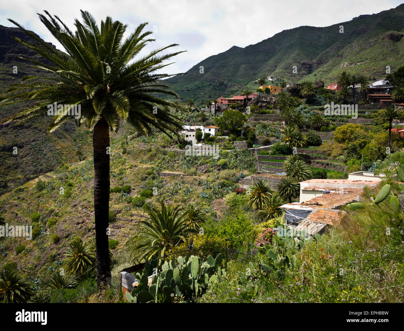 Mascatal hi-res stock photography and images - Alamy