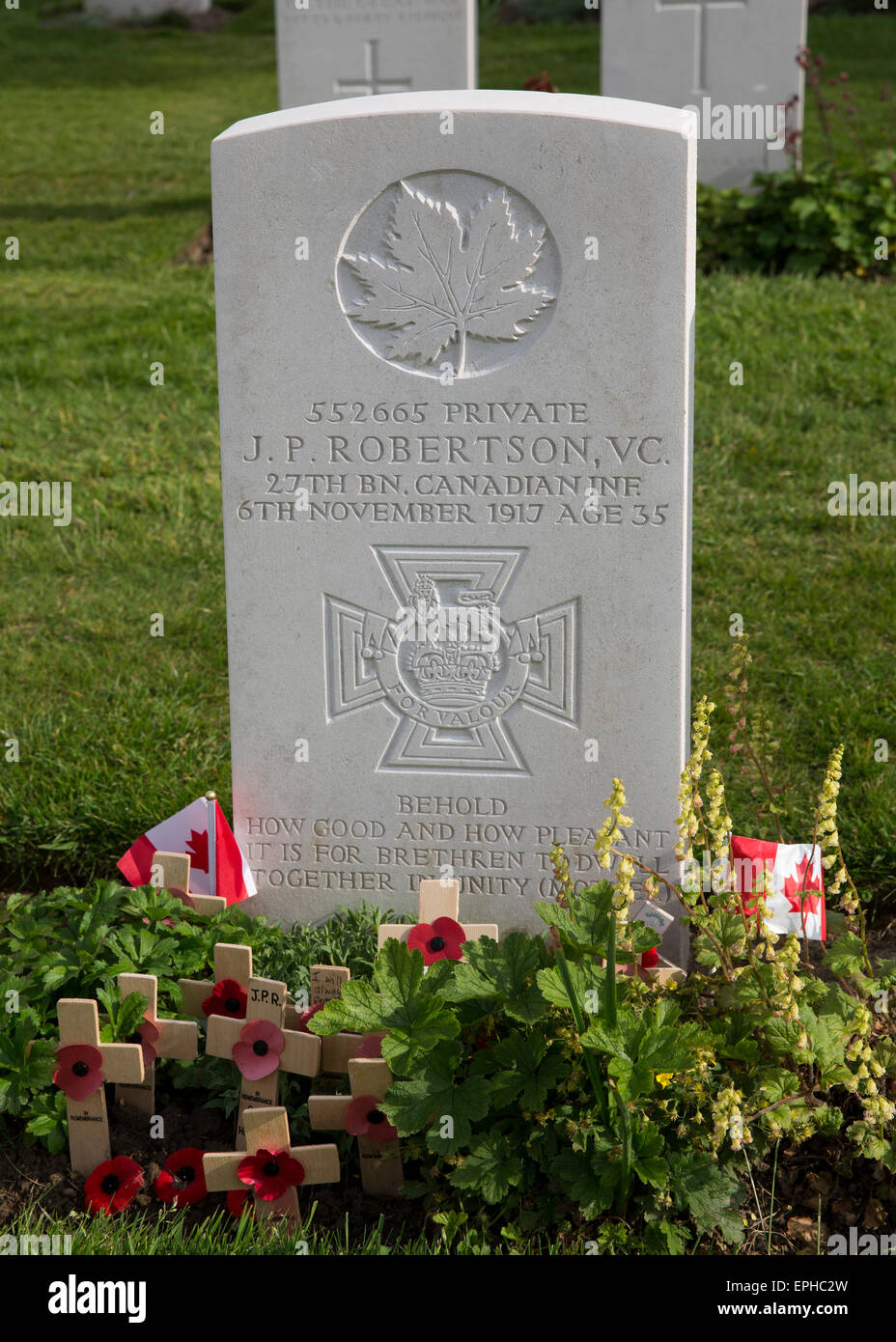 Peter Robertson's Instagram, Twitter & Facebook on IDCrawl