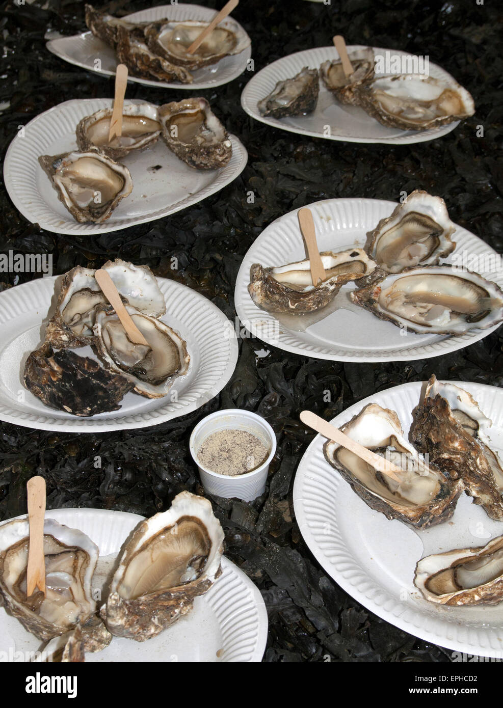 Oysters underwater hi-res stock photography and images - Alamy