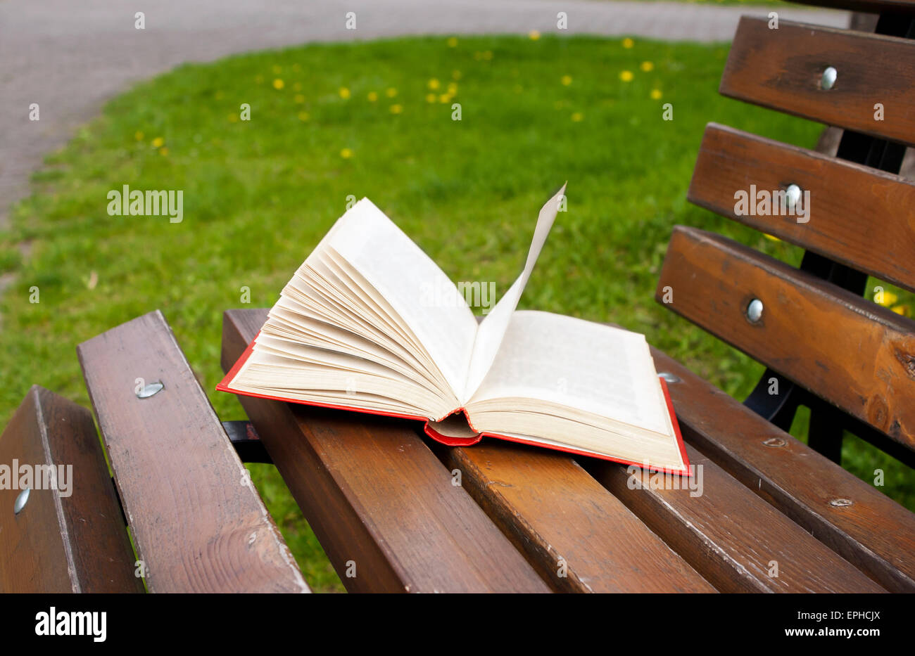 open book in the red cover lies on a park bench on sunny spring day ...