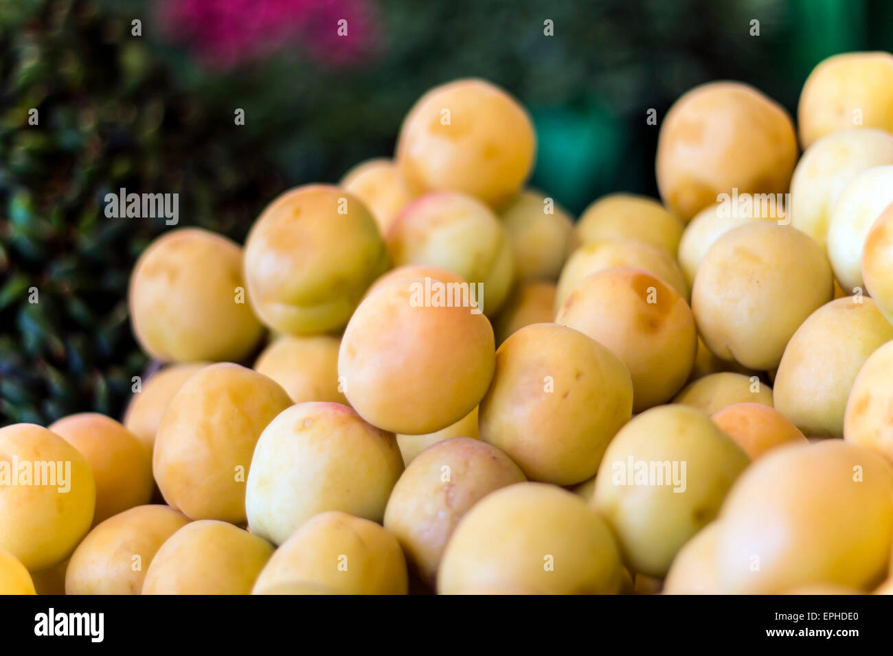 Apricot red hi-res stock photography and images - Alamy