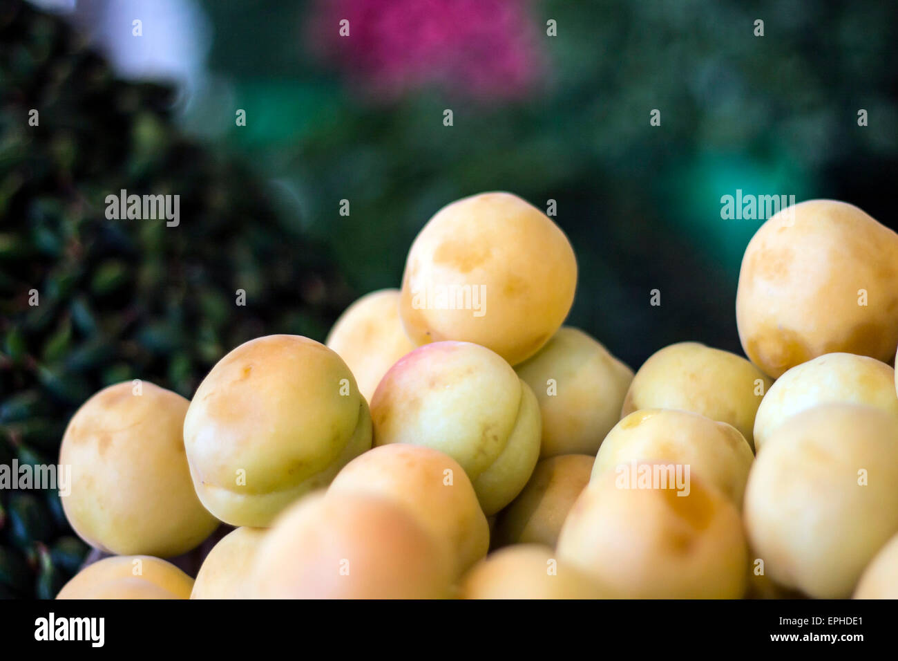 Apricot red hi-res stock photography and images - Alamy