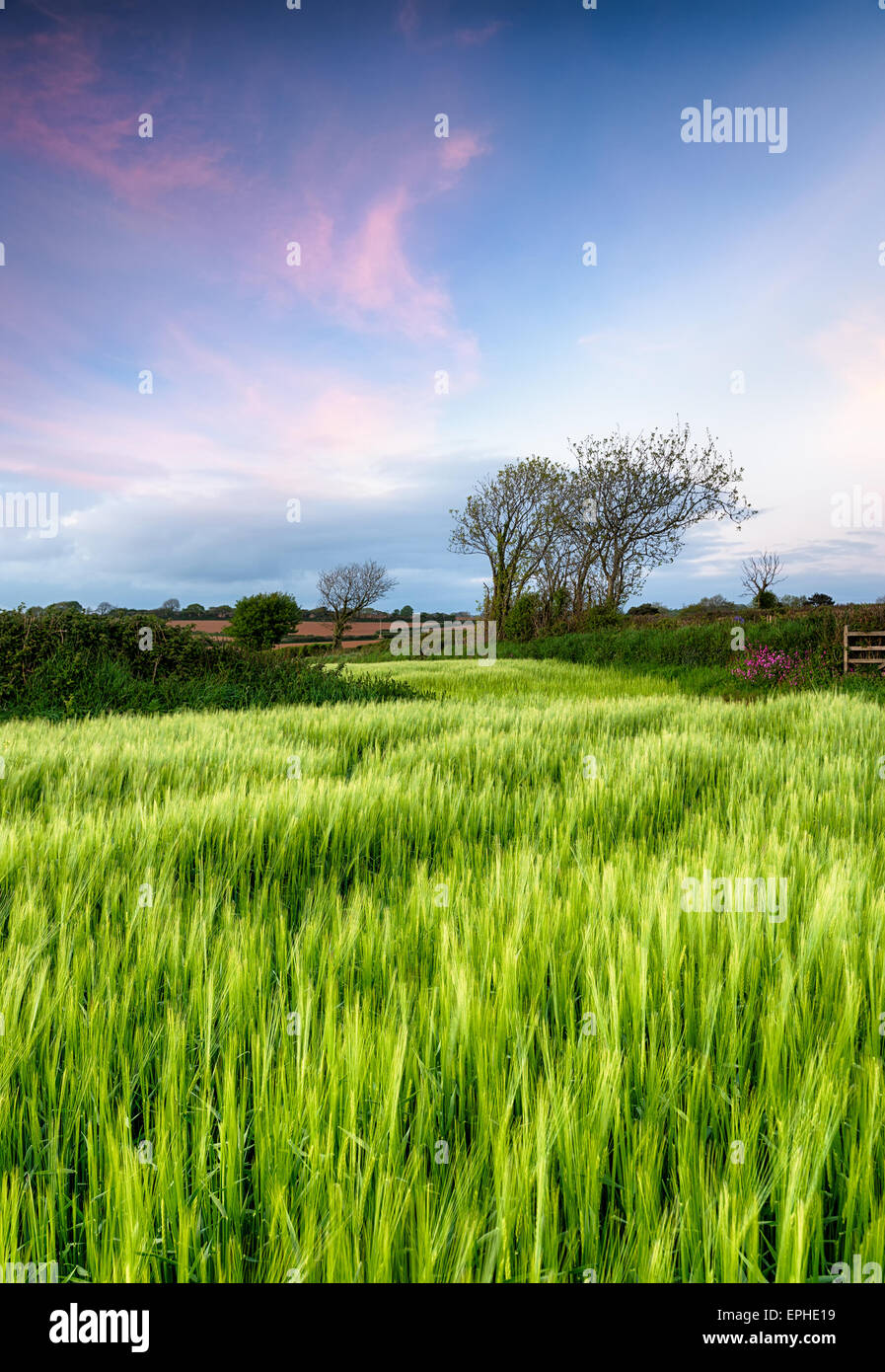 Rising sun in background hi-res stock photography and images - Alamy