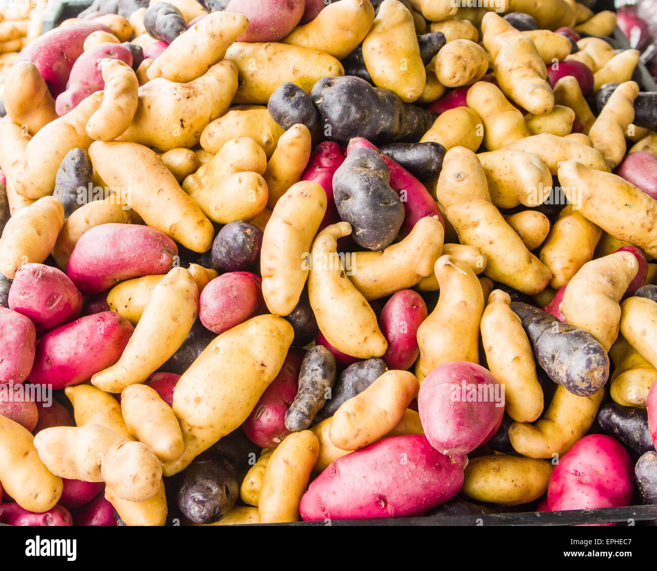 Display of fingerling potatoes at the market Stock Photo - Alamy