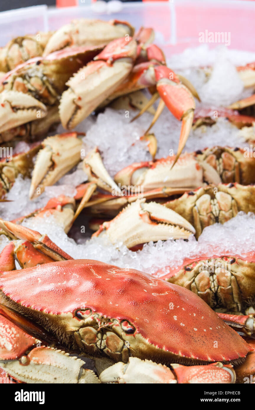 Food crab food display hi-res stock photography and images - Alamy