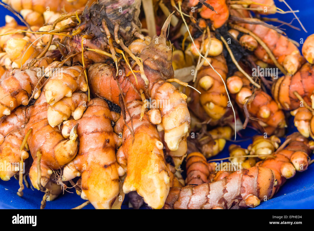 Root crops hi-res stock photography and images - Alamy