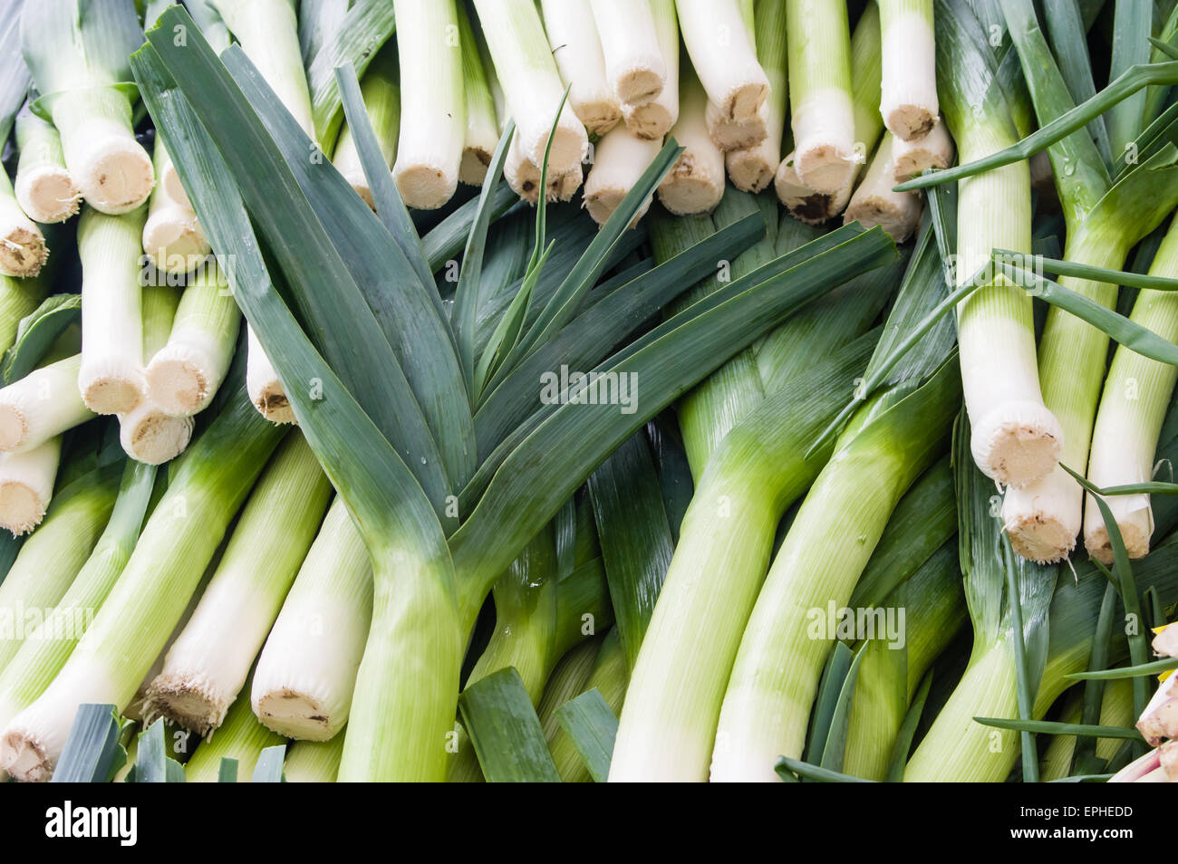 Display of fresh leeks at the farmers market Stock Photo - Alamy