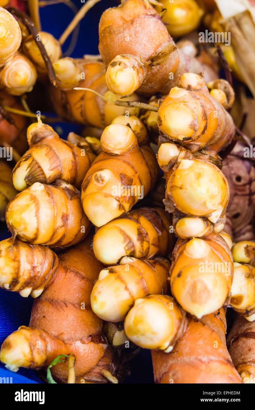 Freshly dug tumeric root at the market Stock Photo - Alamy