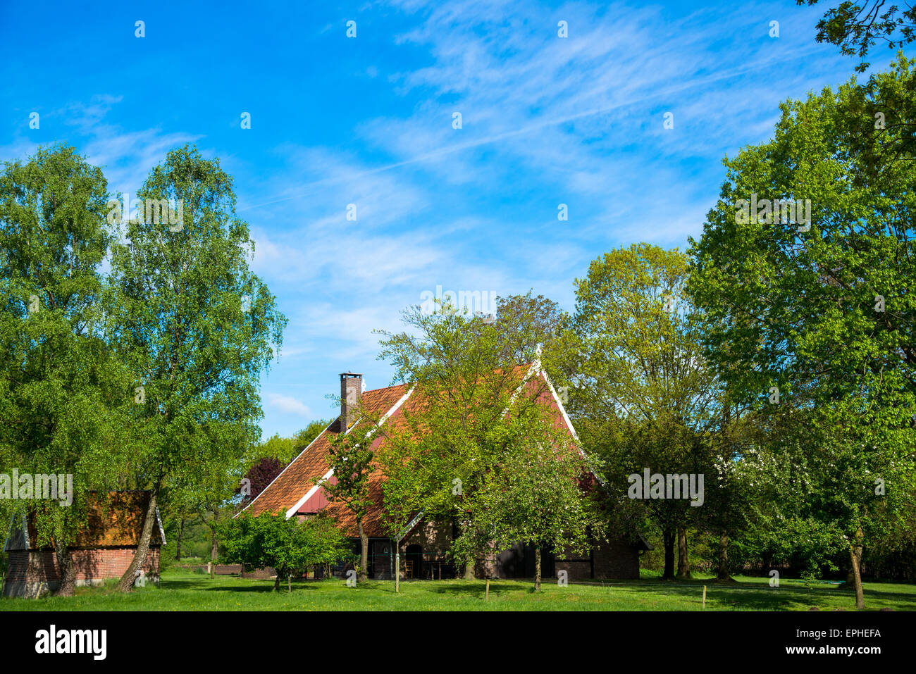 traditional farm in the east of holland Stock Photo - Alamy