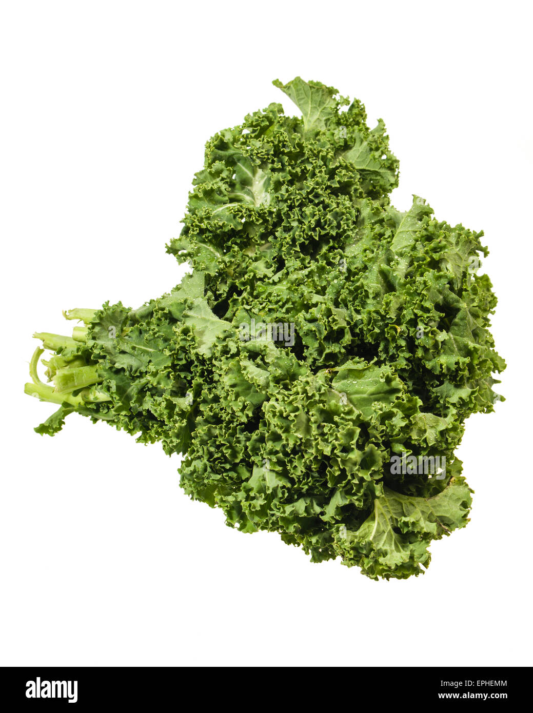 Fresh green kale leaves isolated on white Stock Photo - Alamy