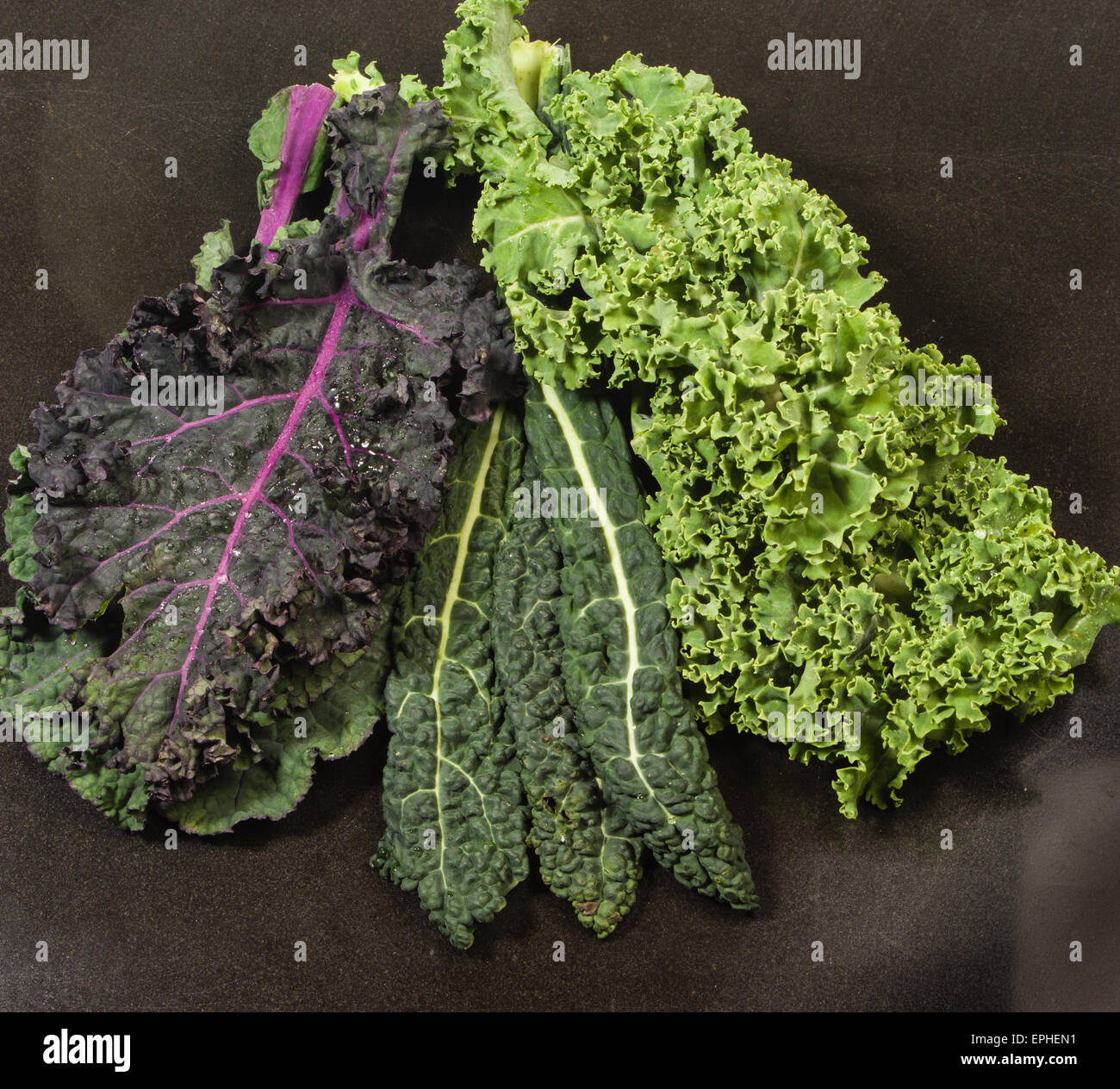 Group display of different varieties of kale leaves Stock Photo - Alamy