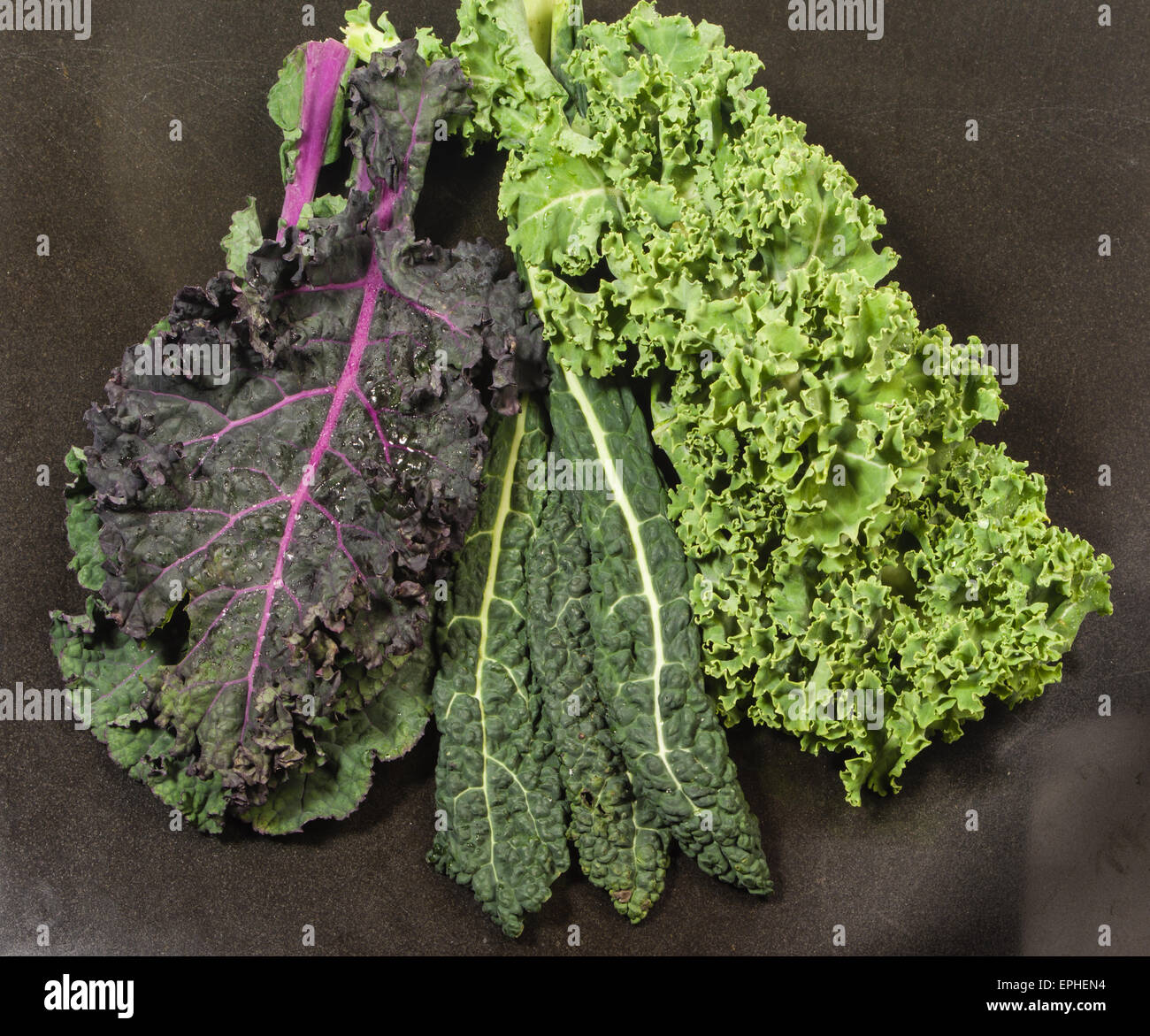 Group display of different varieties of kale leaves Stock Photo - Alamy