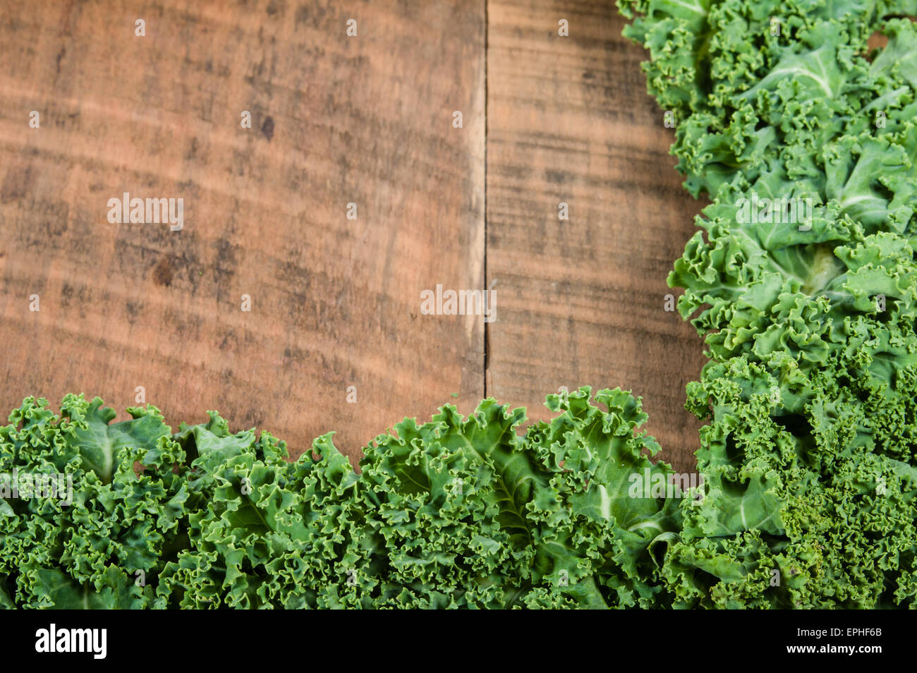 Curley kale leaves for use as border Stock Photo - Alamy