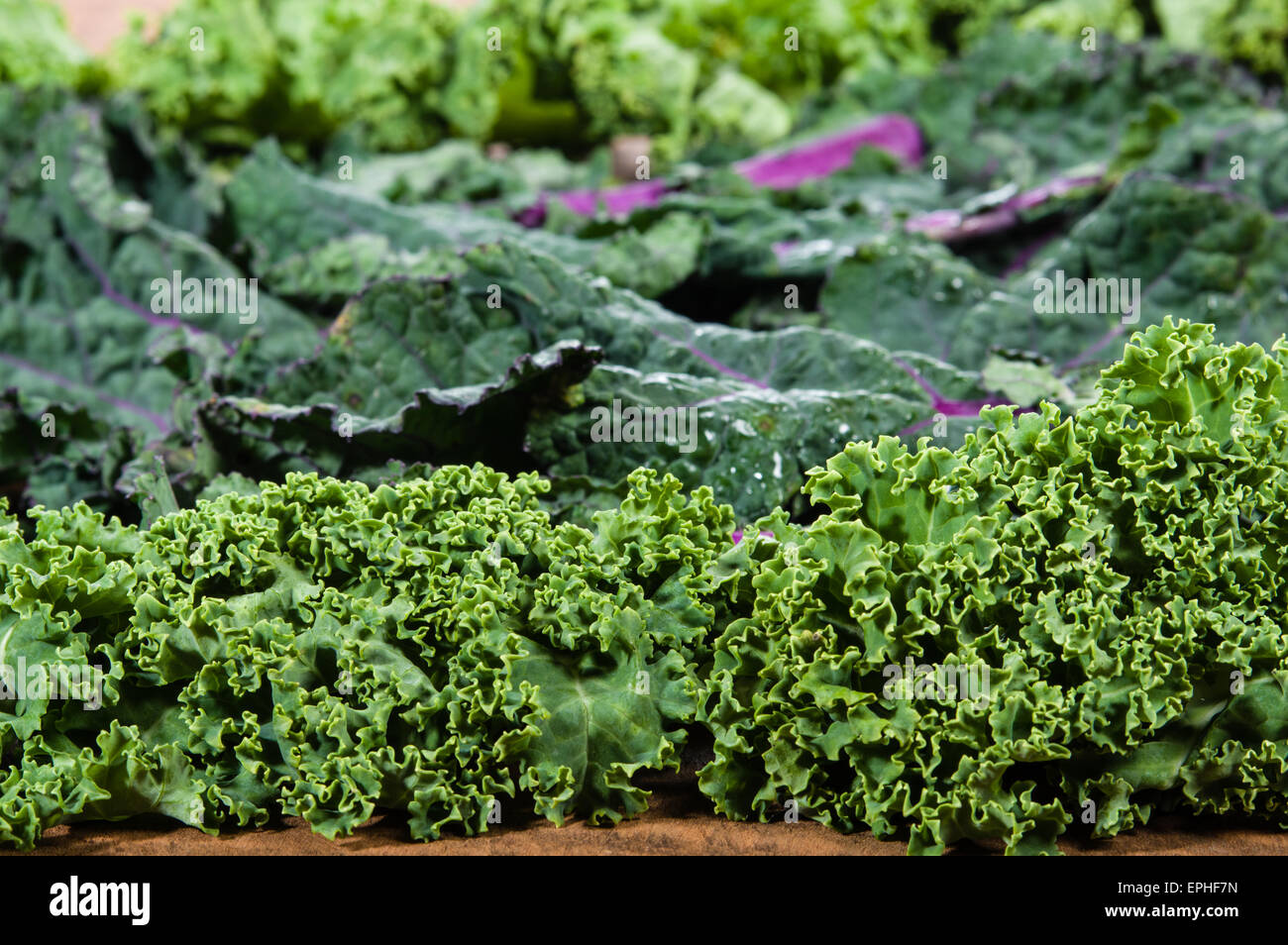 Curly and red kale leaves arranged Stock Photo - Alamy