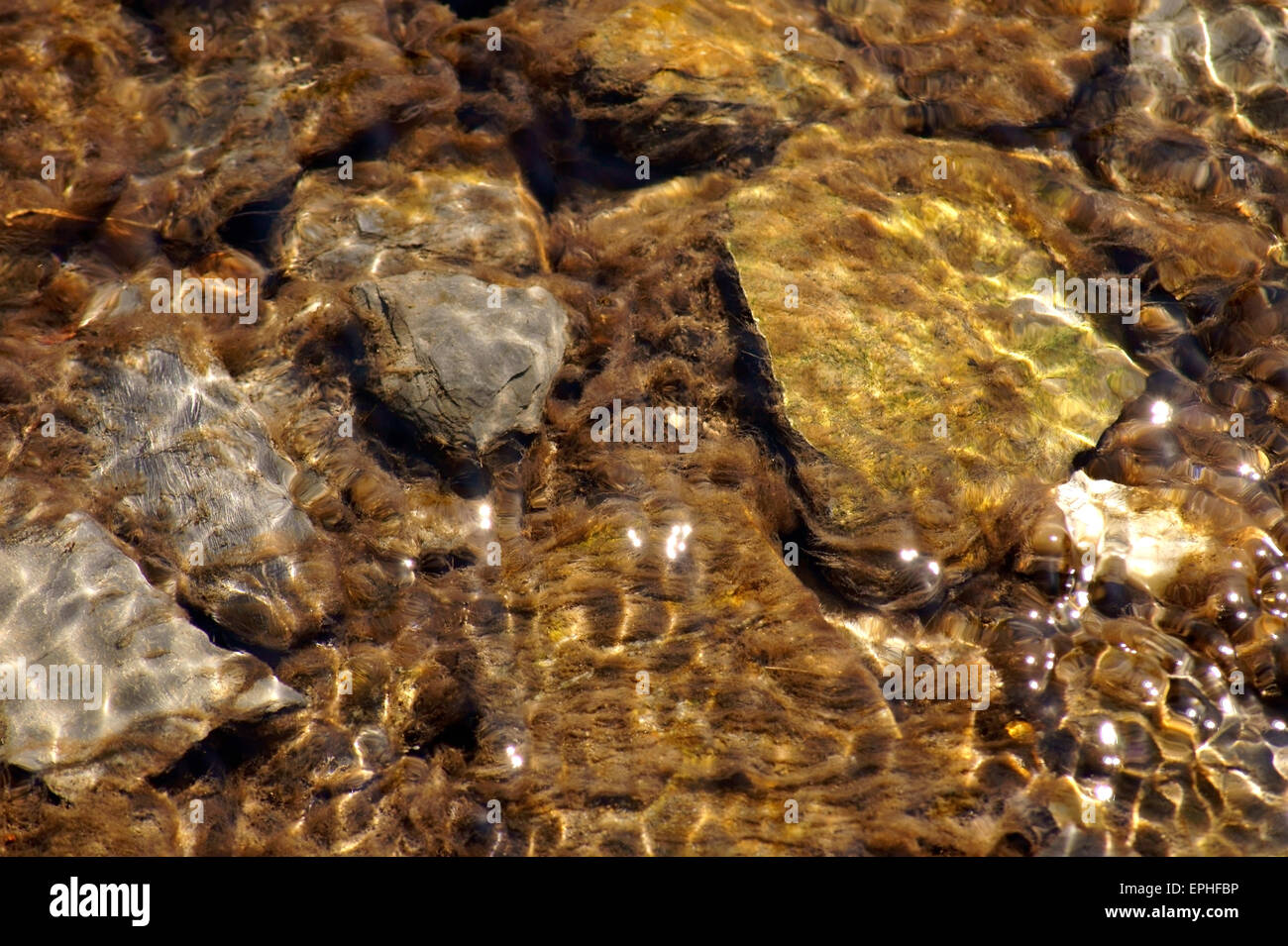Clear stream sparkling water surface hi-res stock photography and ...